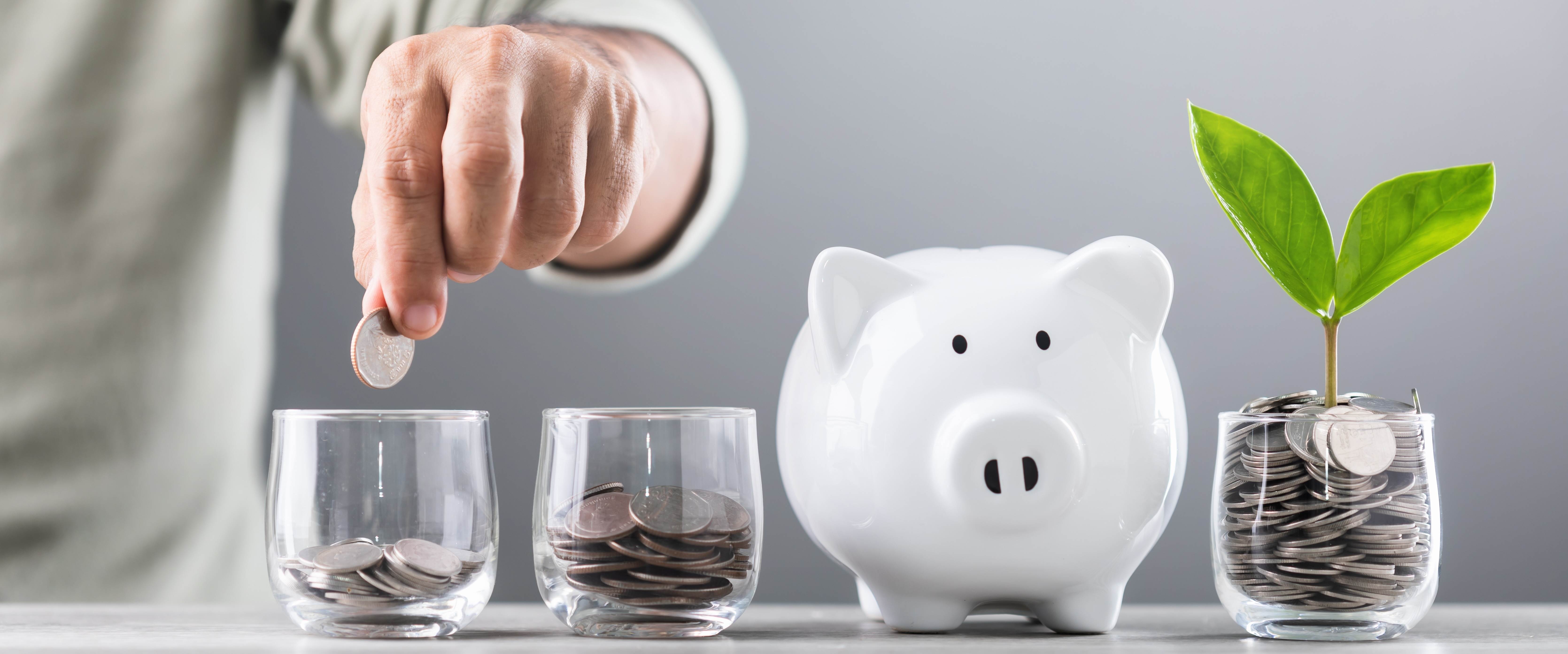 Money advice and the perfect business plan | Business Franchise